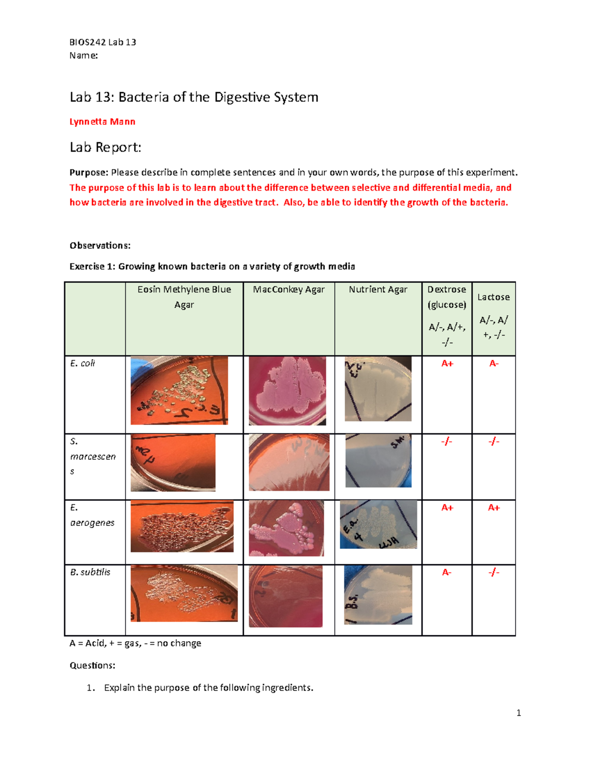 Week 7 lab 13 lynnetta Mann - BIOS242 Lab 13 Name: Lab 13: Bacteria of ...