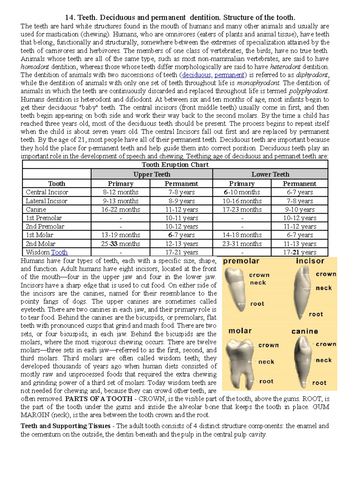 14. Teeth. Deciduous and permanent dentition. Structure of the tooth ...