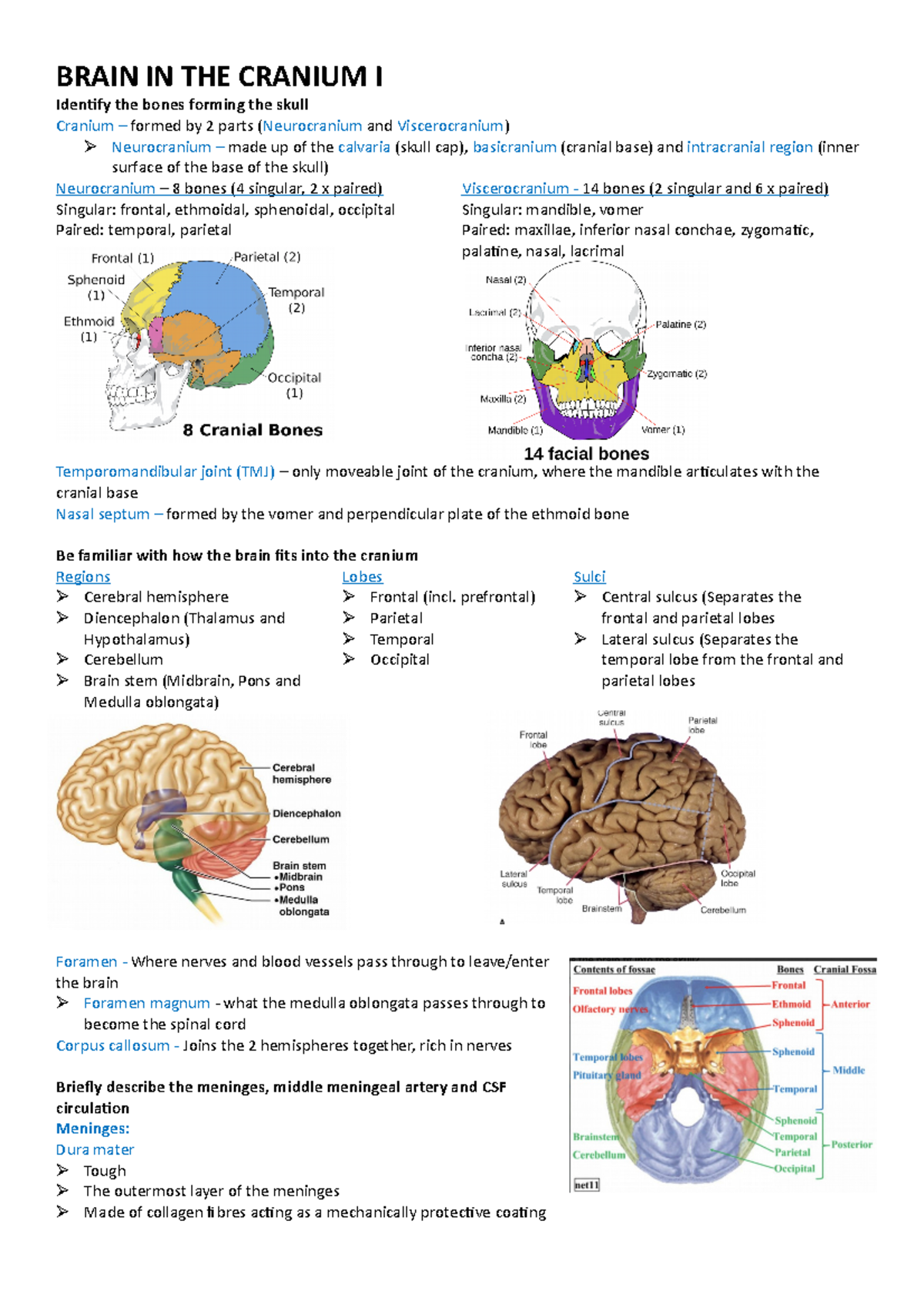 Neuroscience Behaviour and Social Science Condensed Notes - BRAIN IN ...