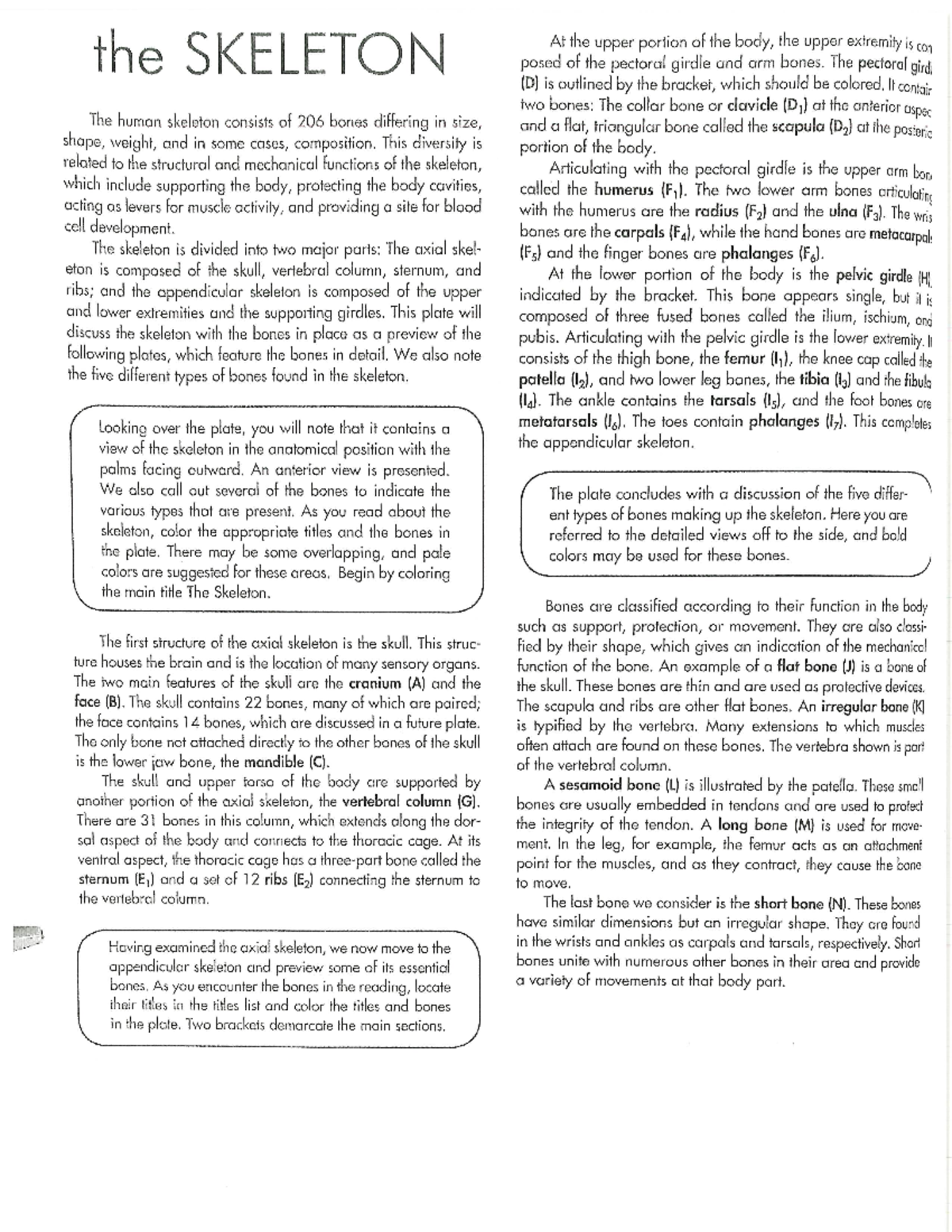 The skeleton coloring 2022 - BIO 101 - Studocu