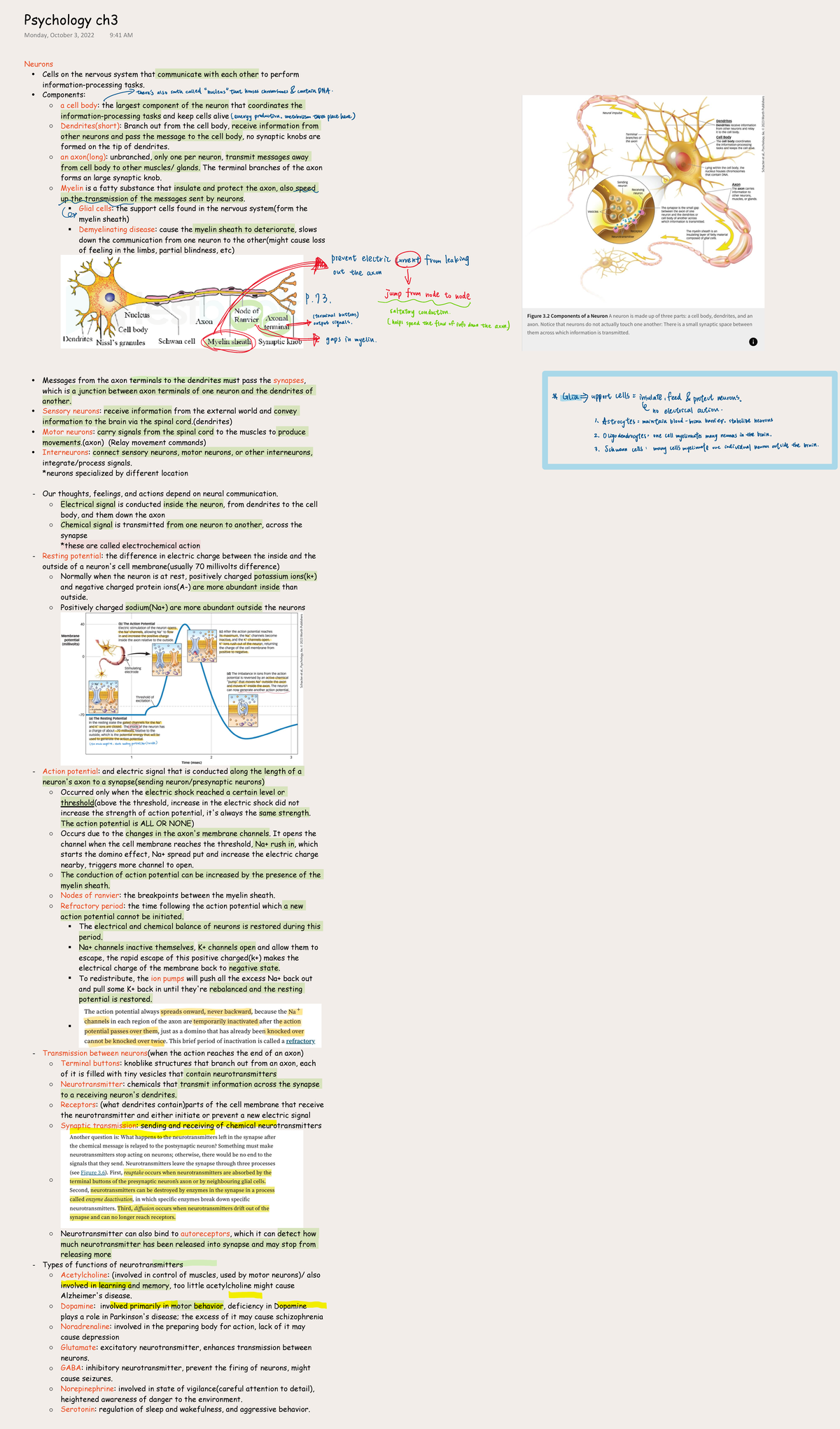 Psychology ch3 2 - Tygvjjhgvx Hug huhj - Neurons Cells on the nervous ...