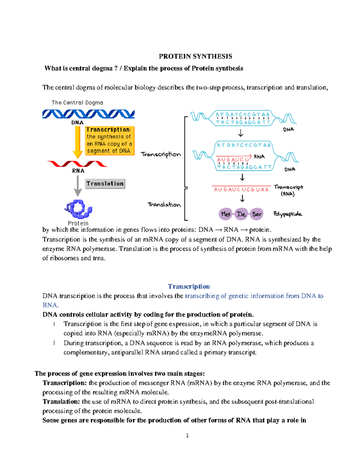 Protein synthesis - PROTEIN SYNTHESIS What is central dogma? / Explain ...