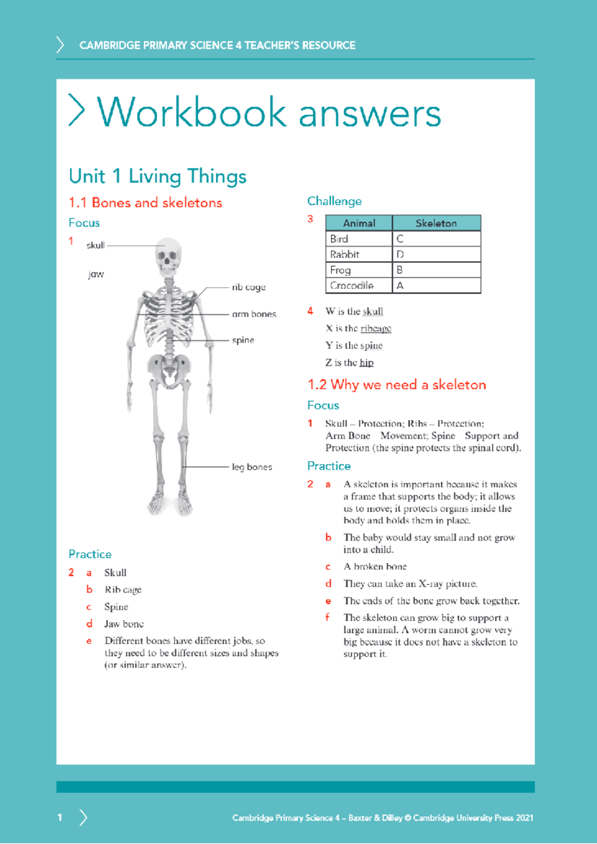 P Science 4 workbook answers - 9609 - Studocu