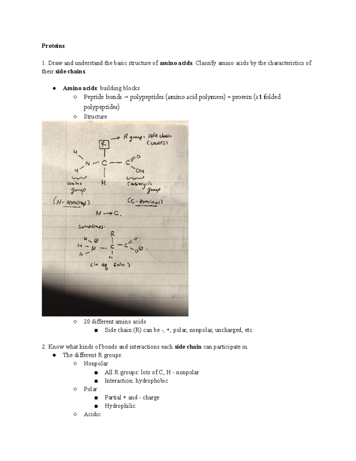 Bio exam part 4 - Bioenergetics study guide - Proteins Draw and ...