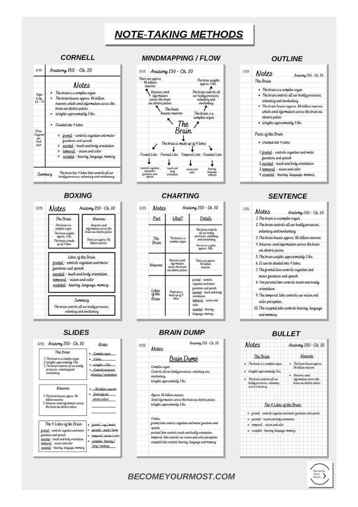 NOTE-TAKING METHODS - METHODS CORNELL MINDMAPPING FLOW OUTLINE Anatomy ...