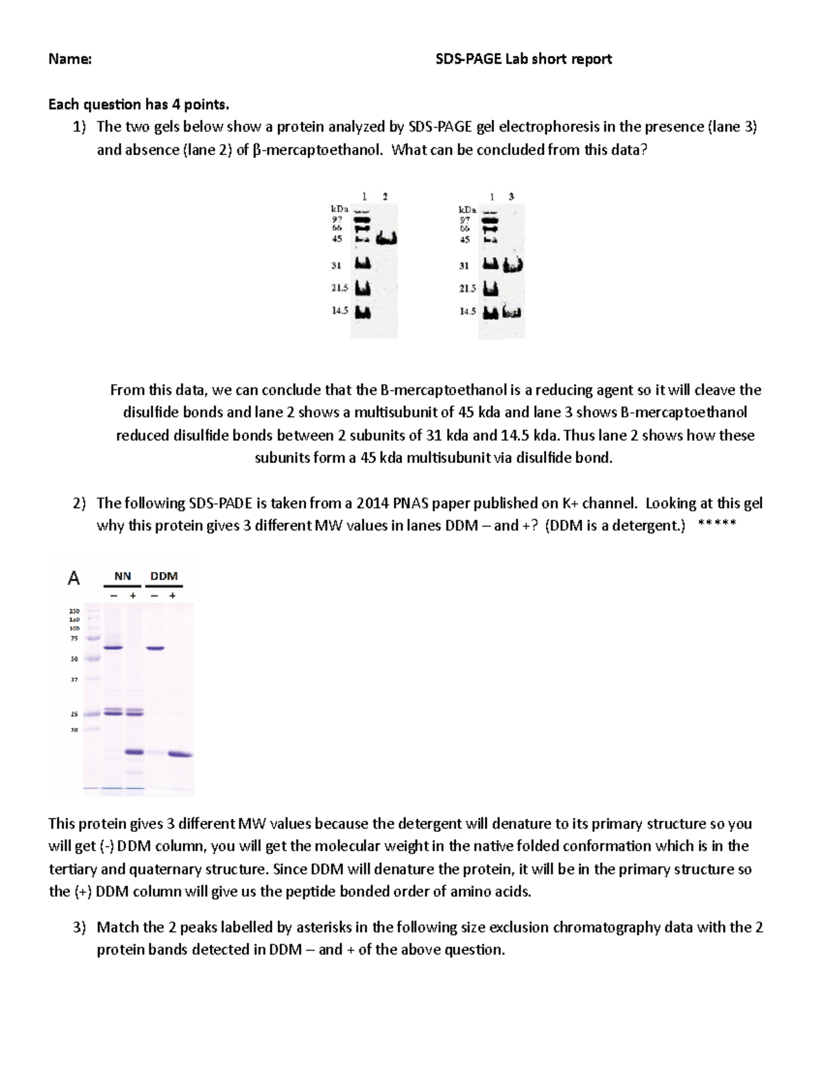 SDS PAGE LAB Report - CH 237 SDS PAGE - Name: SDS-PAGE Lab short report ...