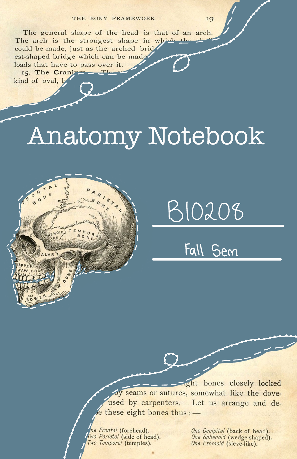 BIO208 Reading Notes - Anatomy Notebook 1310208 Fall Sem KEIÉTUIBE 22 ...
