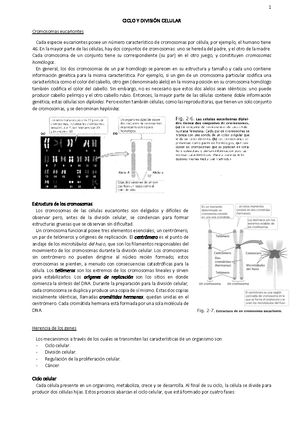 Gelanalyzer-19 - Manual - GelAnalyzer 19 User Manual 1 Installation and startup GelAnalyzer has ...