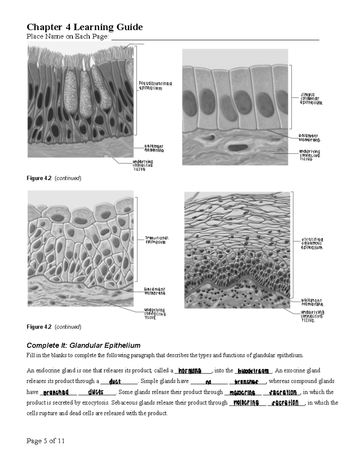 Chapter 4 pg 5 - lecture notes for bio 223 - Chapter 4 Learning Guide ...