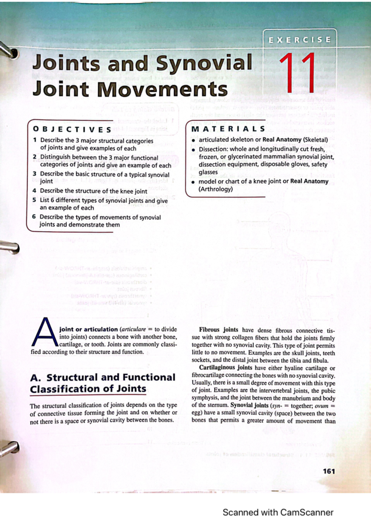 Joints and Synovial plus exercises - BIOL 141 - Studocu
