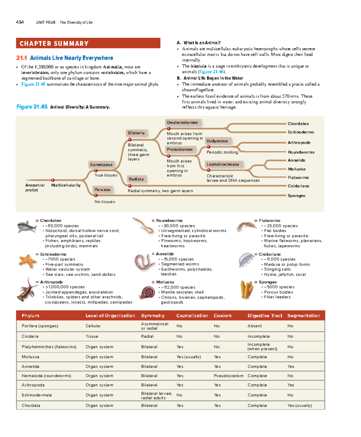 Biology Concepts and Investigations, Chapter Twenty-One Review ...