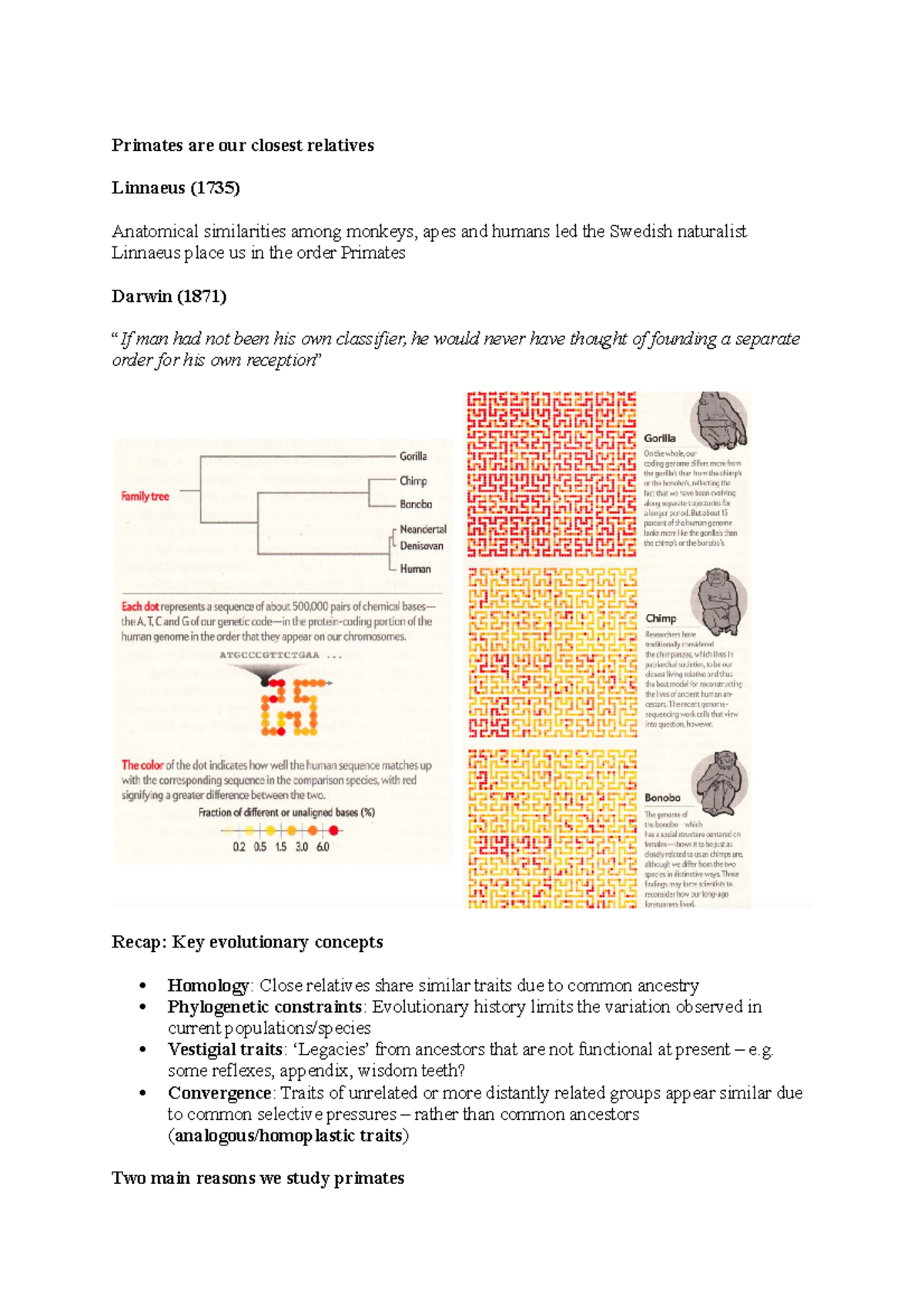 Anhb1101 lecture 6 notes - Primates are our closest relatives Linnaeus ...