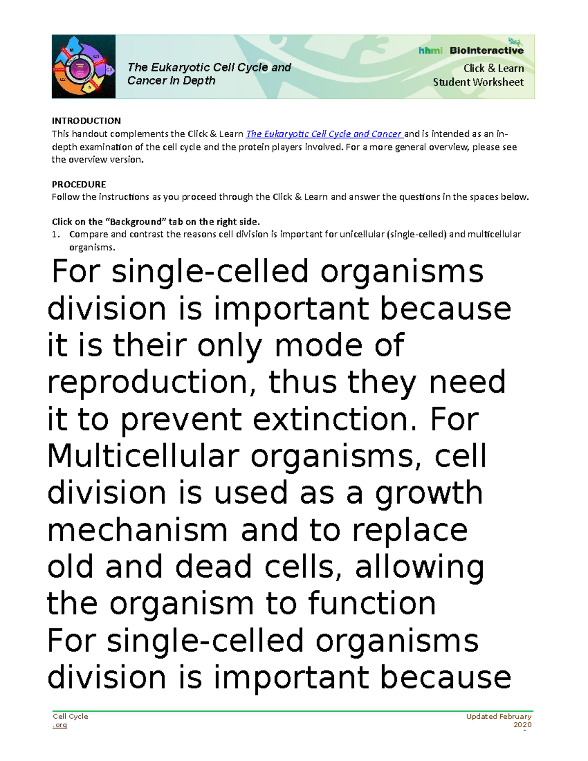 Cell Cycle HHMI Student Worksheet For BB The Eukaryotic Cell Cycle