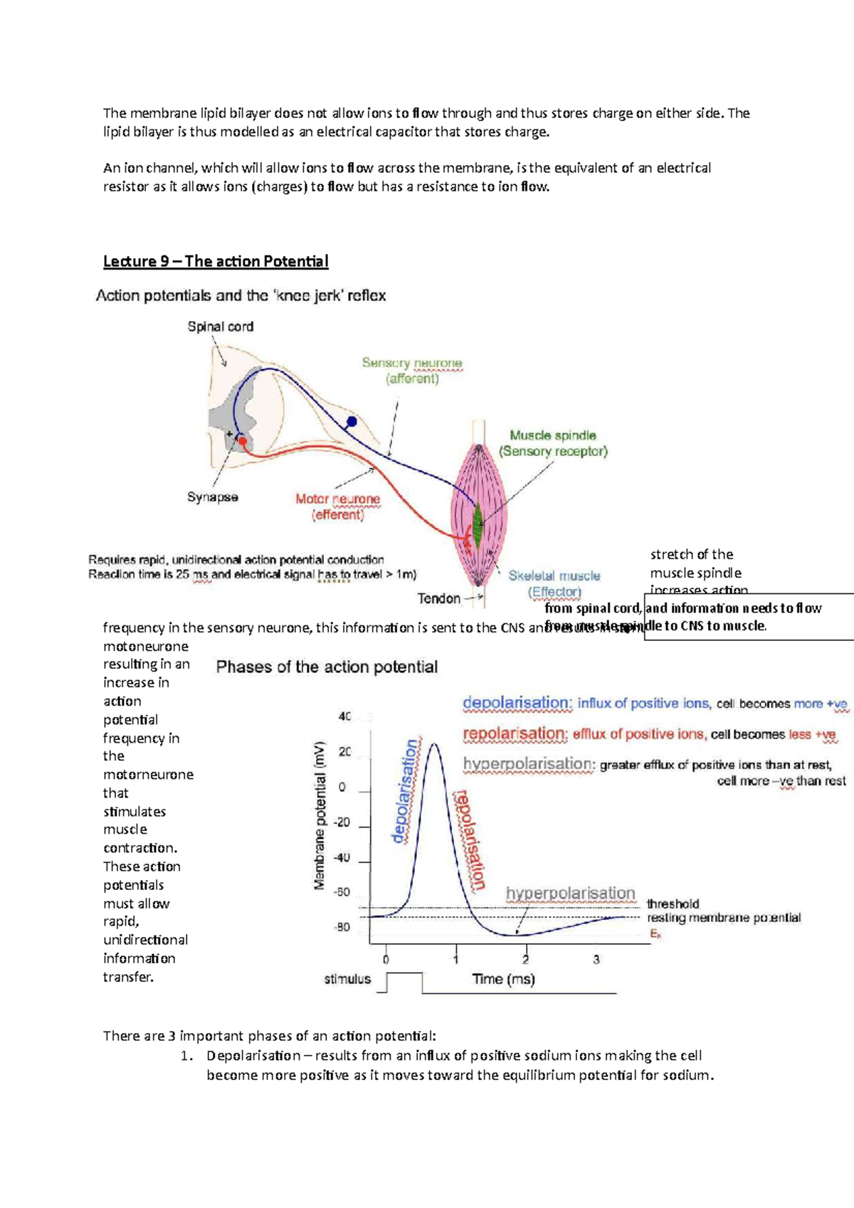 Biomed-semester-1-notes compressed (1)-pages-2 - The membrane lipid ...