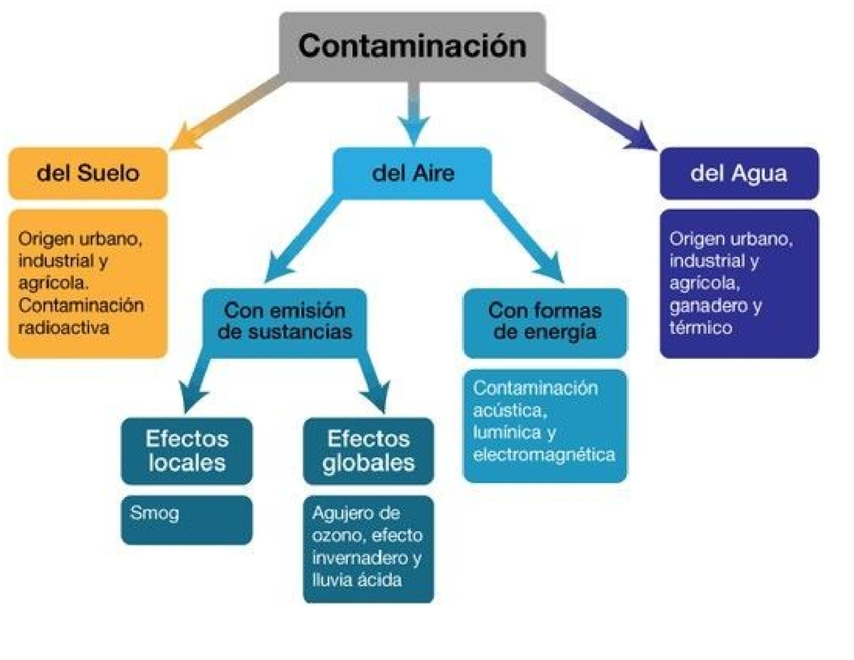 Doc4 - SOBRE CONTAMINACION - Practica docente en el aula ...