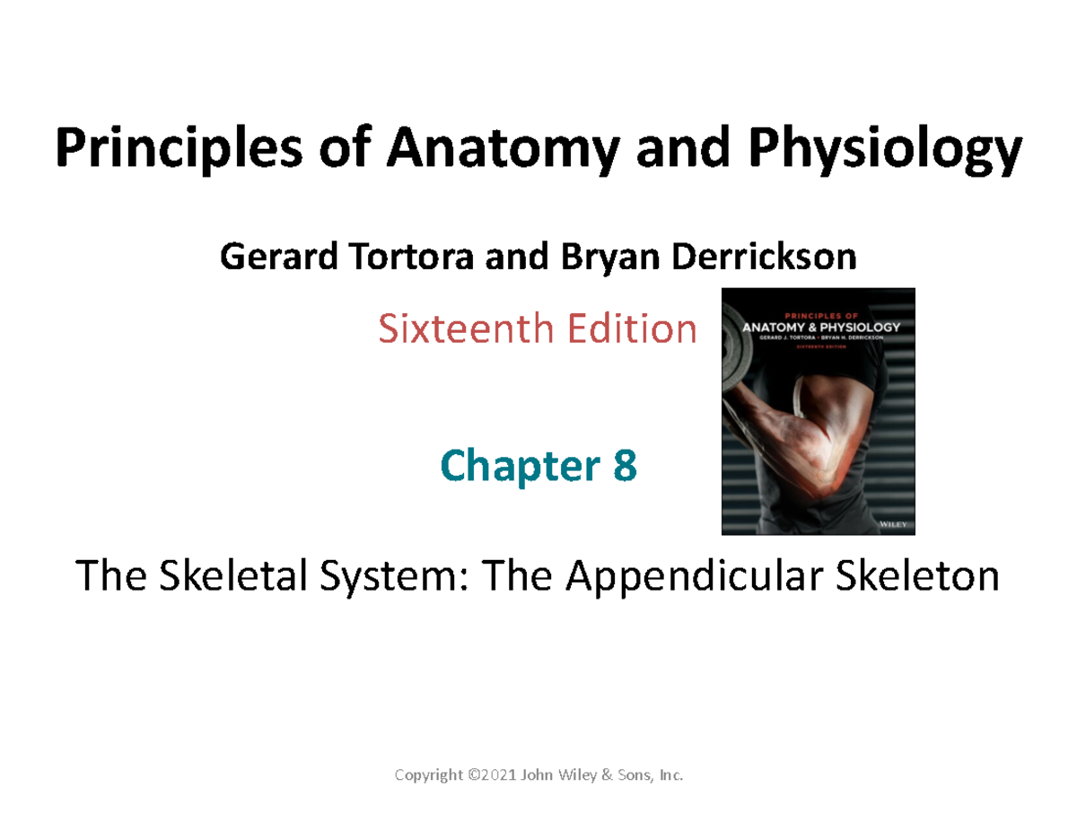 Chapter 8 - The Skeletal System - The Appendicular Skeleton (ML) - Principles of Anatomy and ...