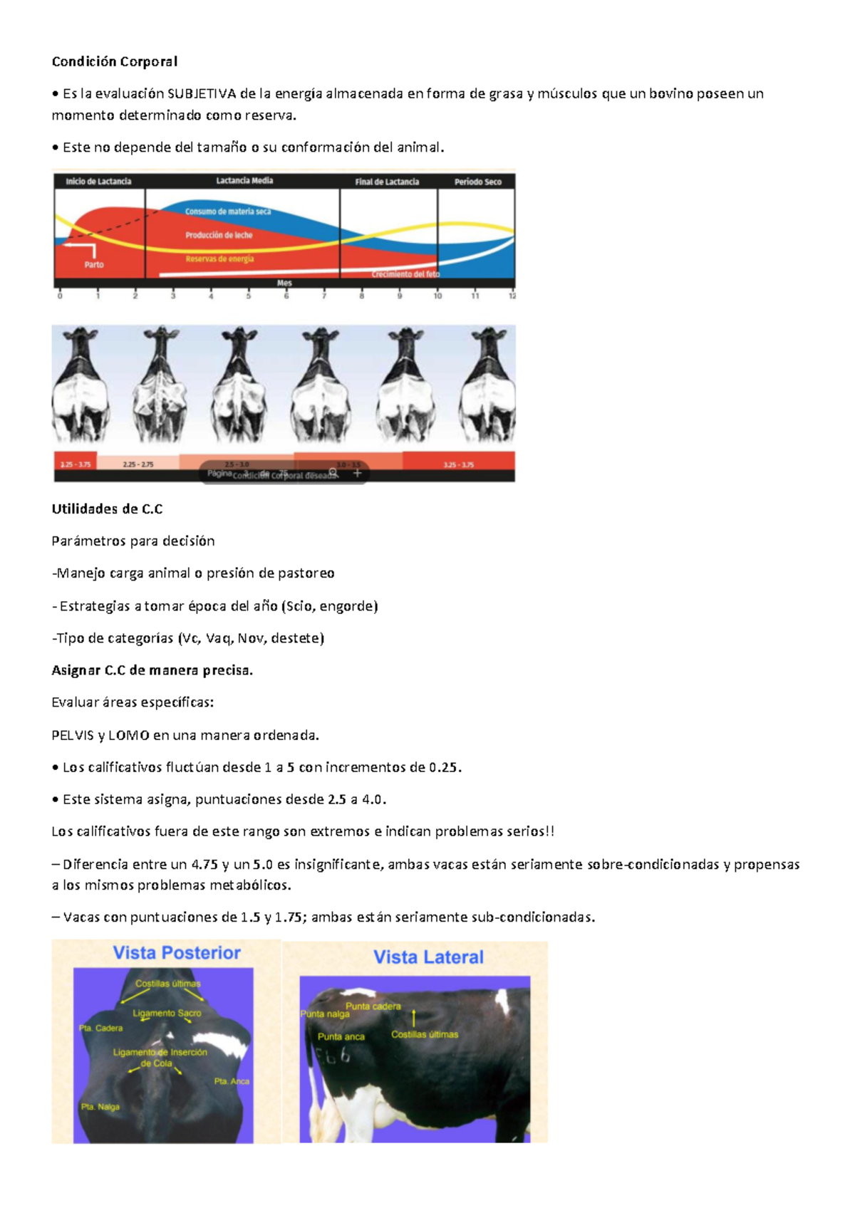 Condición Corporal - Condición Corporal Es la evaluación SUBJETIVA de ...