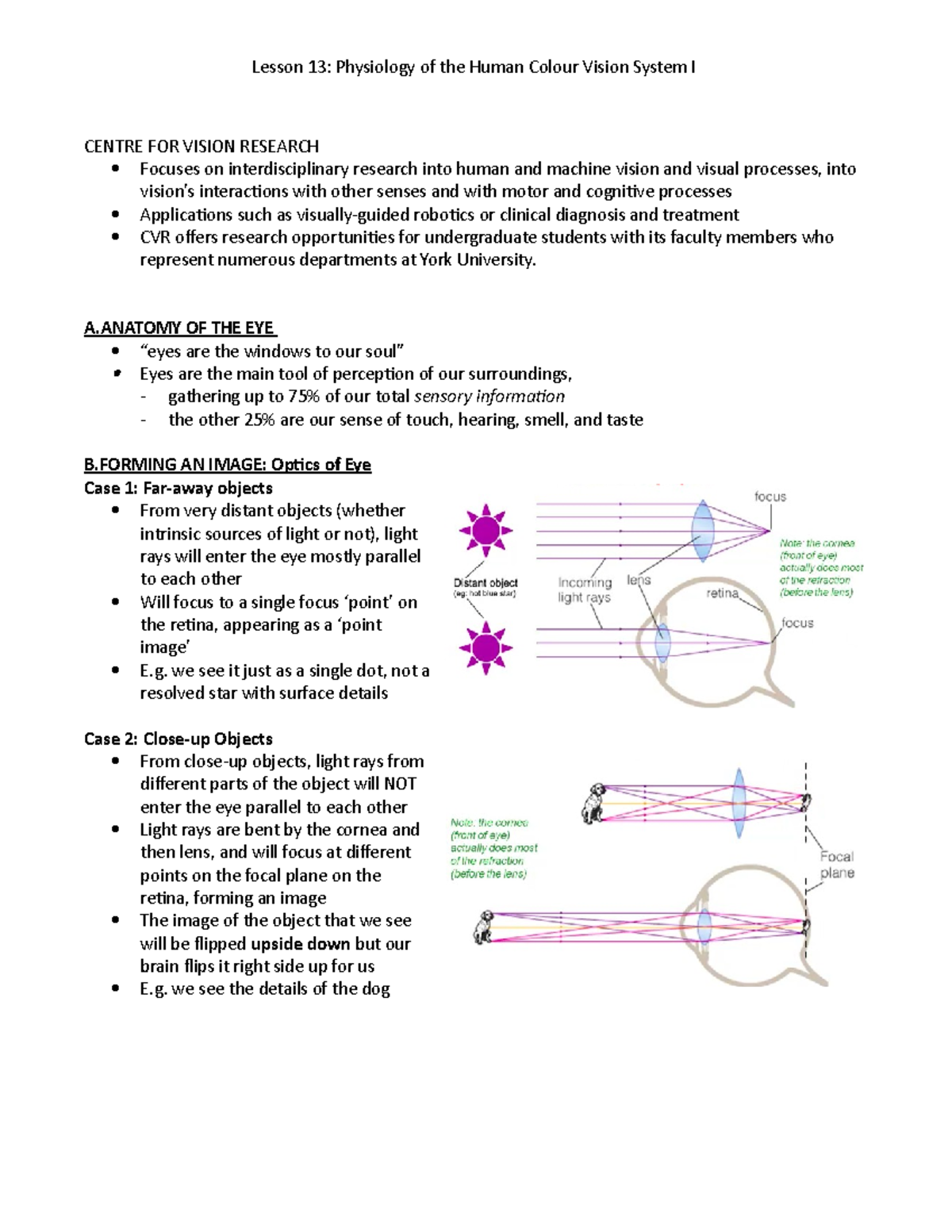 NATS1870 - Lecture 13 - Lesson 13: Physiology of the Human Colour ...