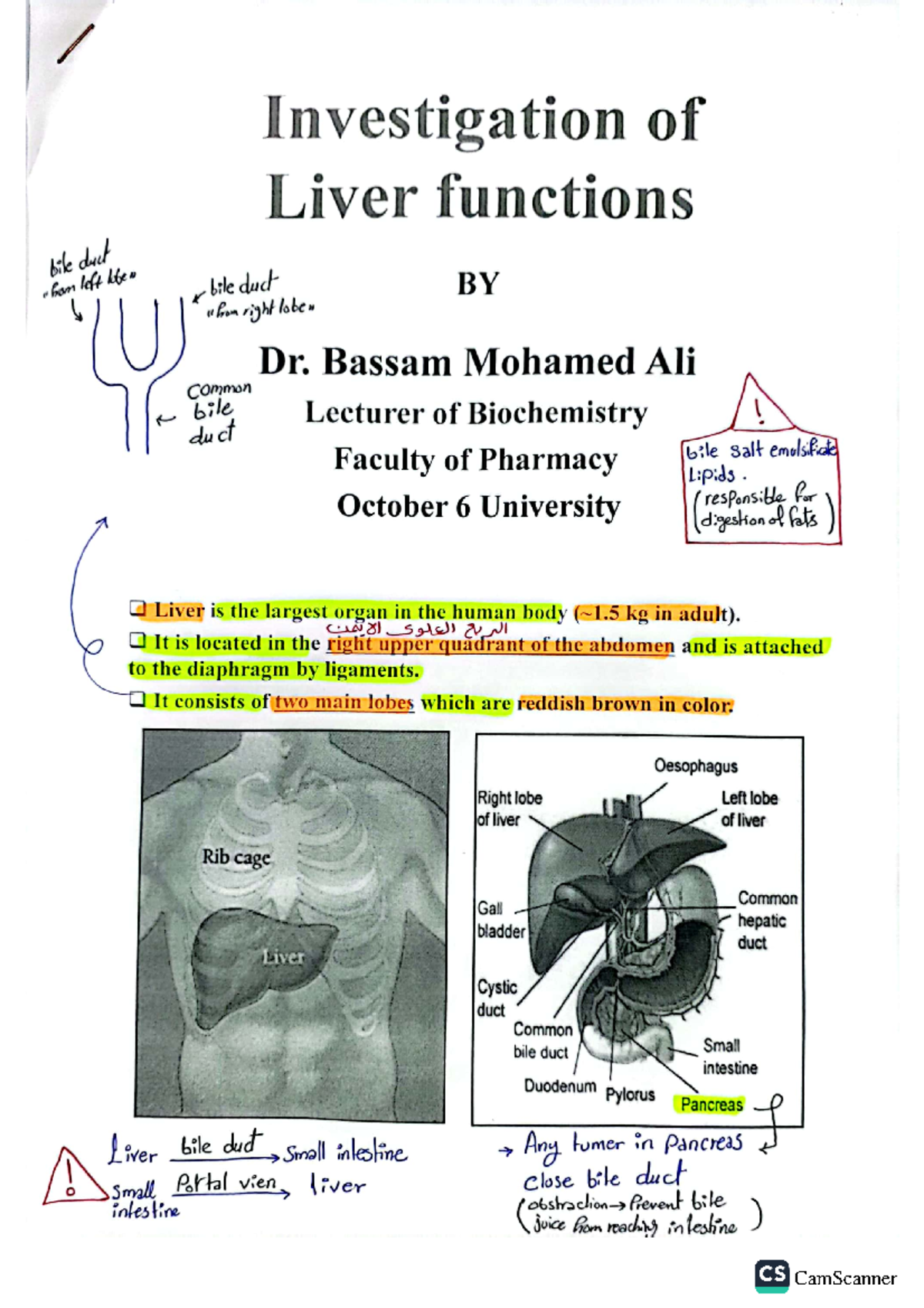 Clinical bio . liver 1 - Clinical Biochemistry - Studocu