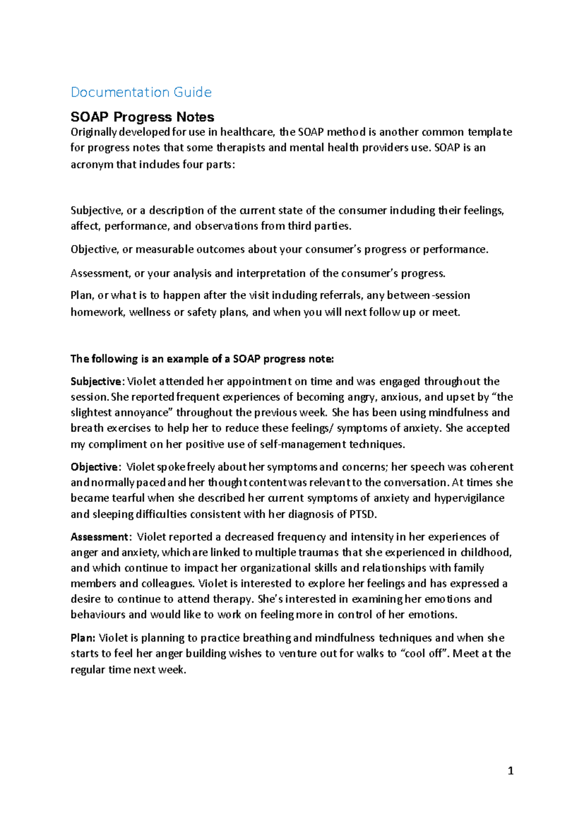 Documentation guide - Documentation Guide SOAP Progress Notes ...