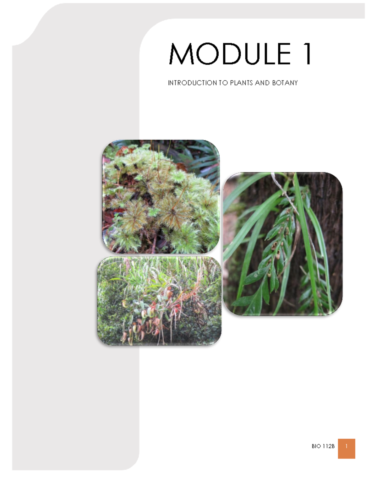 Module 1 for upload - summary lec - MODULE 1 INTRODUCTION TO PLANTS AND ...