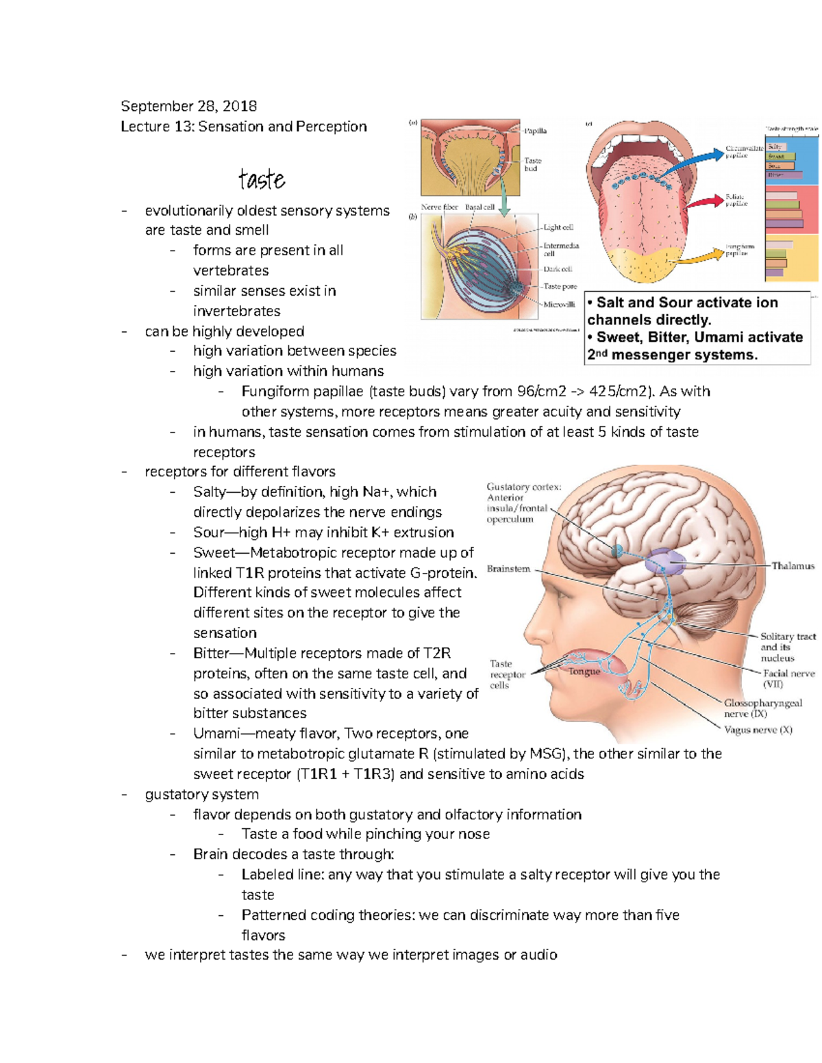4. Taste and Smell - Lecture notes 18 - September 28, 2018 Lecture 13 ...