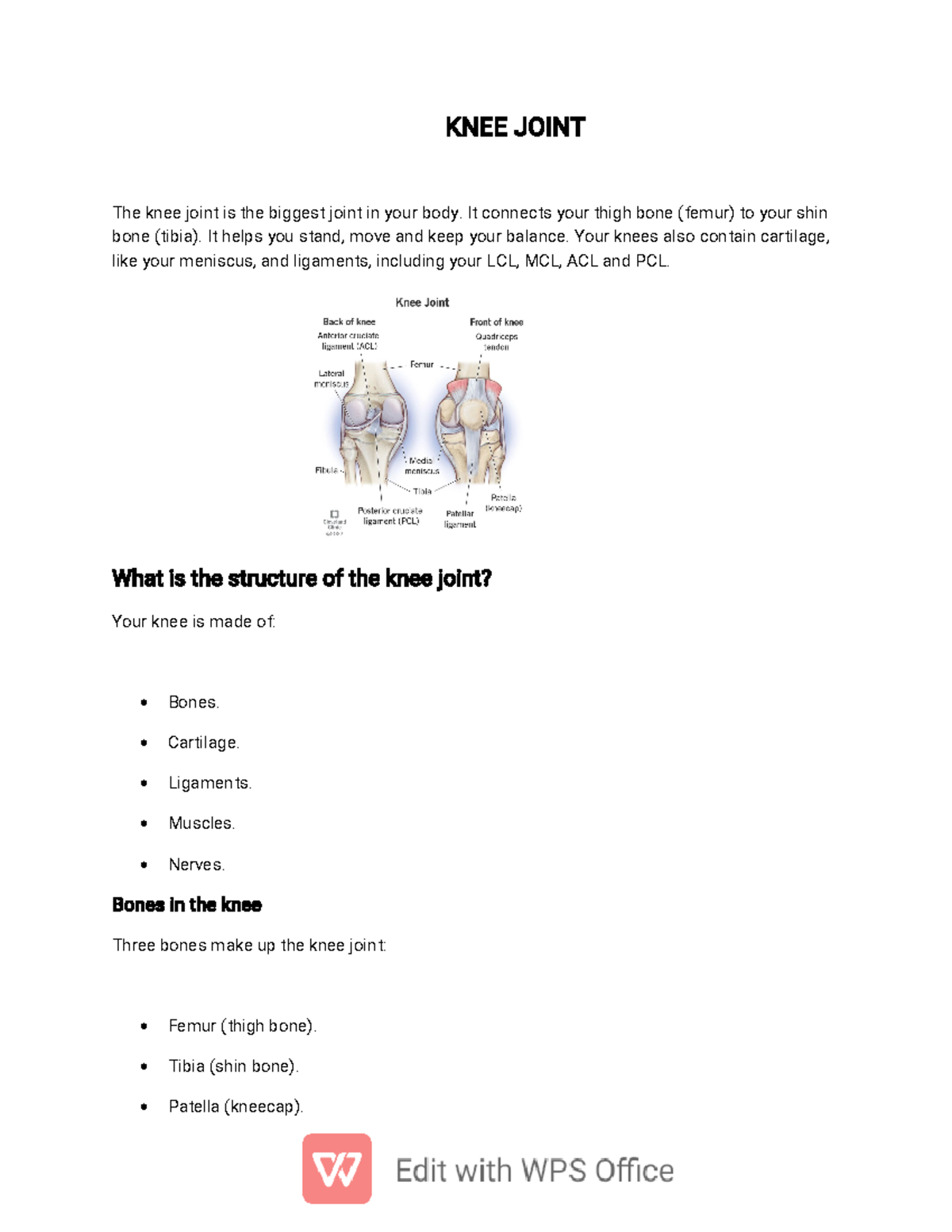 KNEE Joint-WPS Office - Note for Knee joint and it's anatomy - KNEE ...