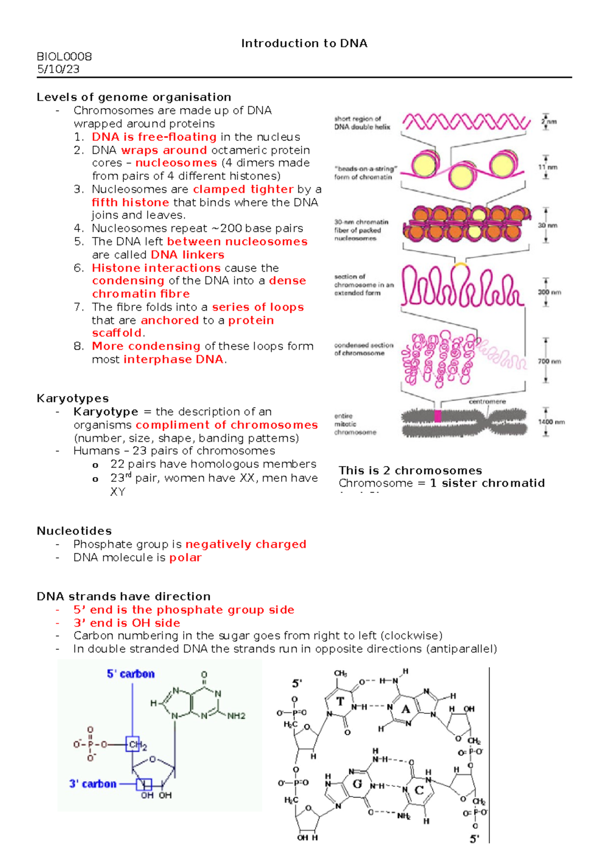L1 - Introduction to DNA - Introduction to DNA BIOL 5/10/ Levels of ...