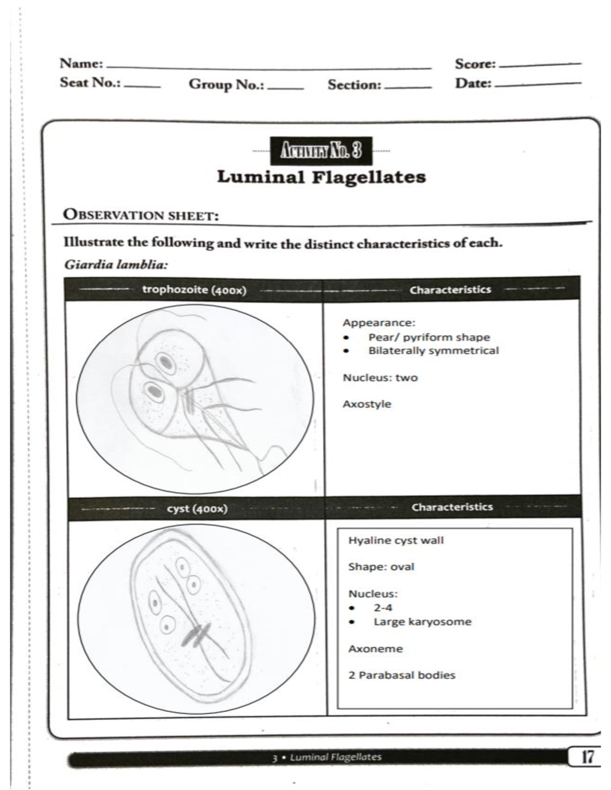 Activity 1 - Luminal Flagellates - Parasitology - Studocu