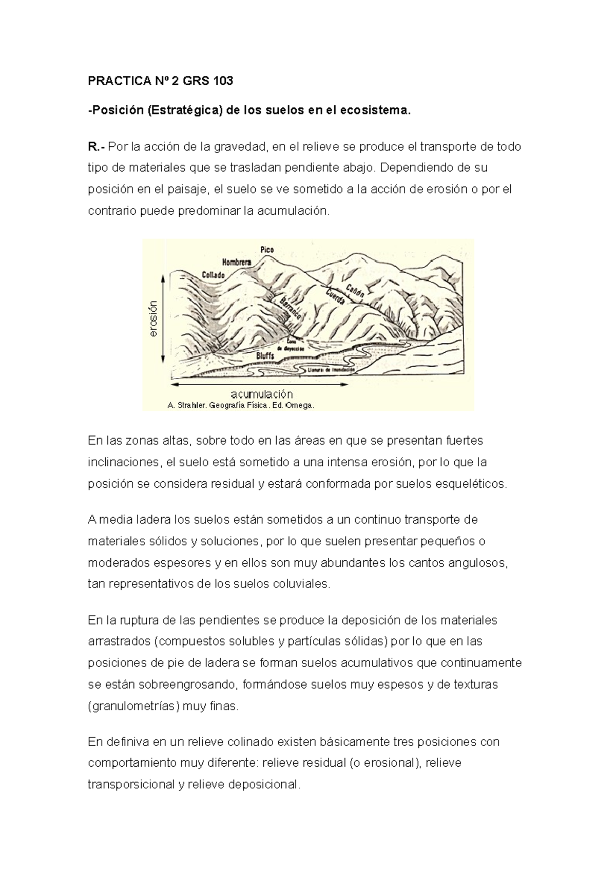 Practica Nº 2 GRS 103 - apuntes - PRACTICA Nº 2 GRS 103 -Posición ...