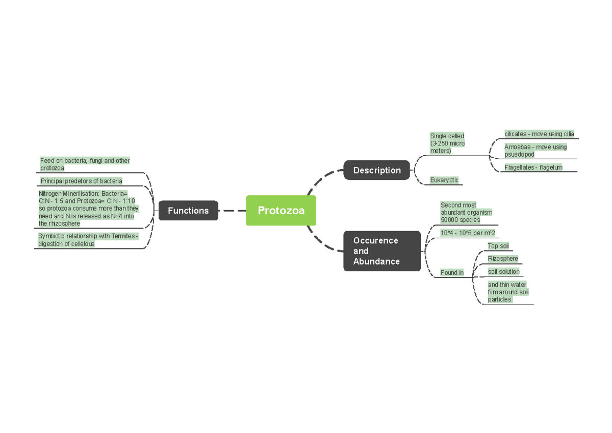 Protozoa - Summary Introductory soil science - Protozoa Occurence and Abundance Functions Top ...