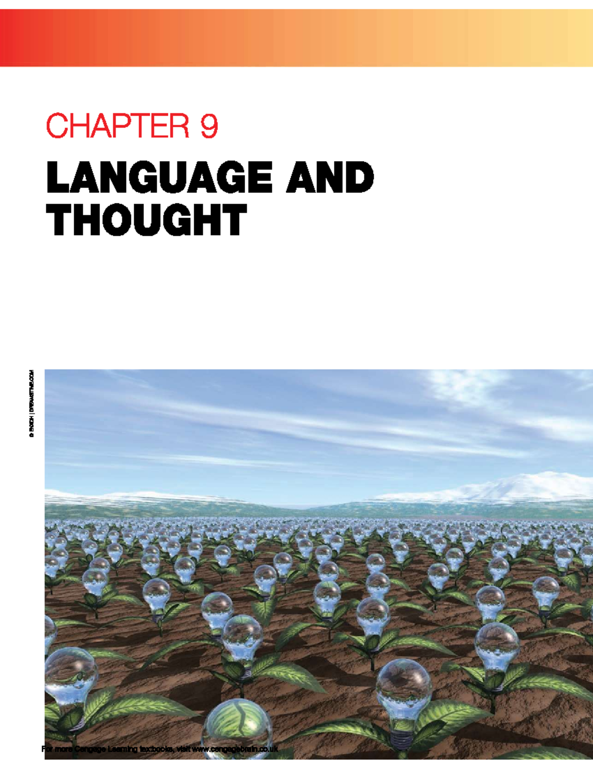 Language (Basics) - CHAPTER 9 LANGUAGE AND THOUGHT CHAPTER 9 LANGUAGE AND THOUGHT CHAPTER ...