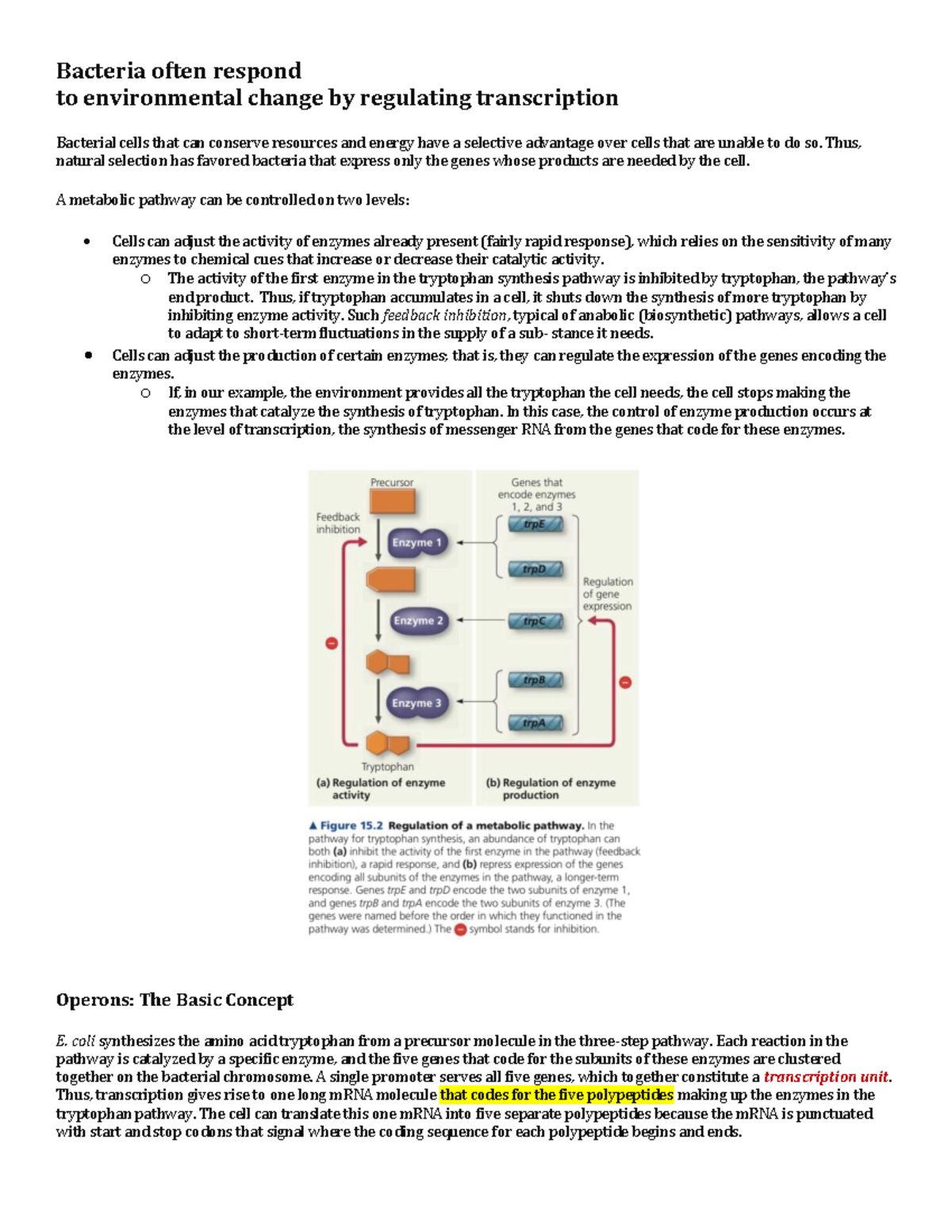 Chapter 14 - General Biology I Instructor: Thomas Pitzer - Bacteria ...