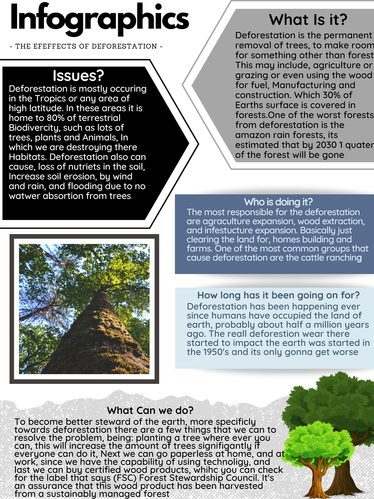 Add a little bit of body text - What Is it? Deforestation is the ...