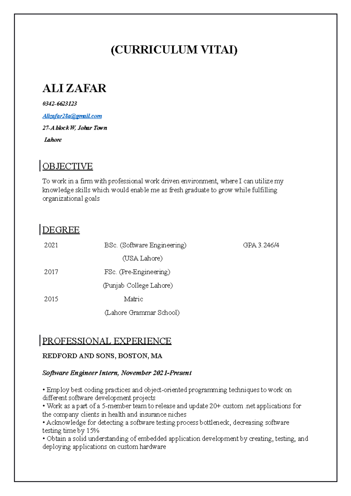 CV assignment 2 - Want some exciting stuff - (CURRICULUM VITAI) ALI ...