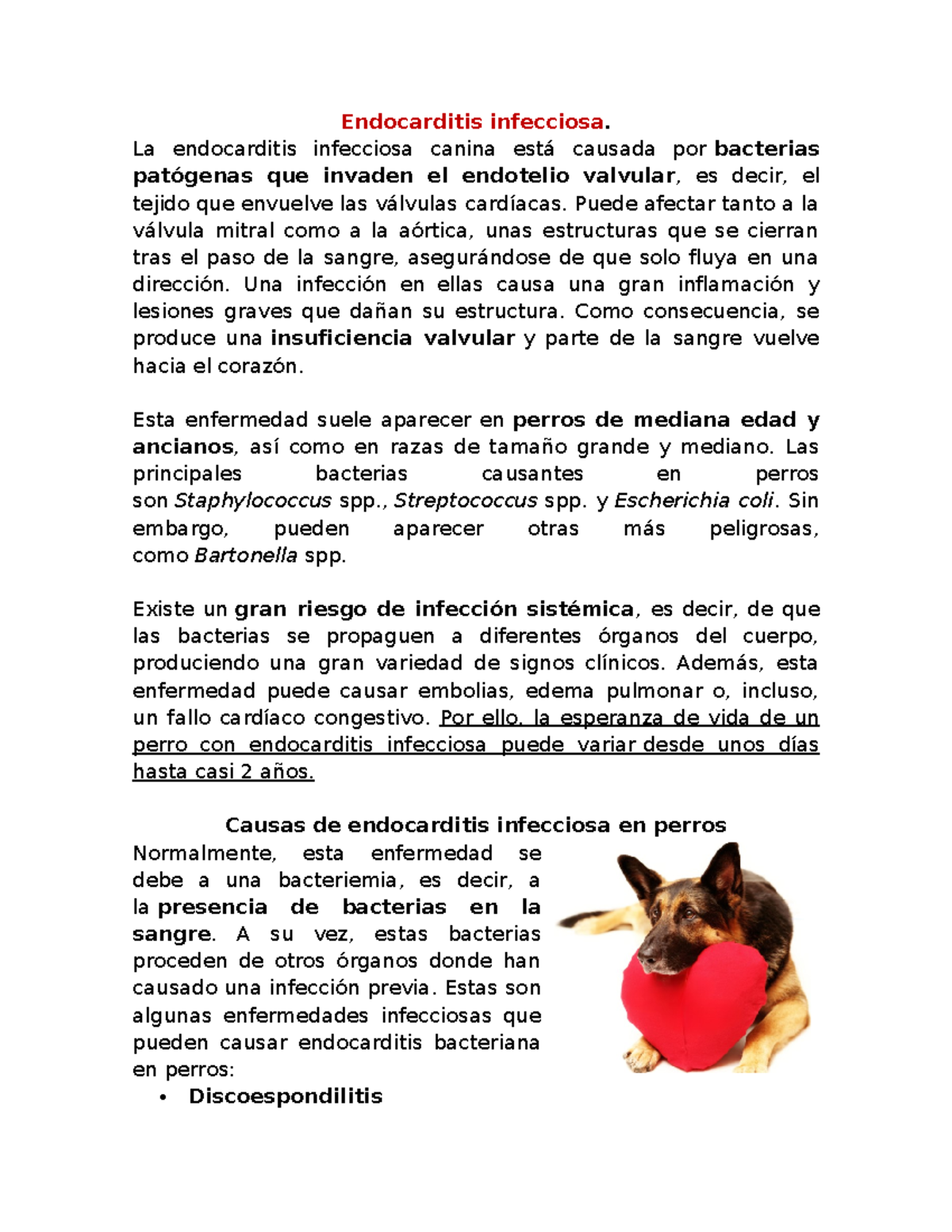 Enfermedades cardiovasculares - Endocarditis infecciosa. La ...