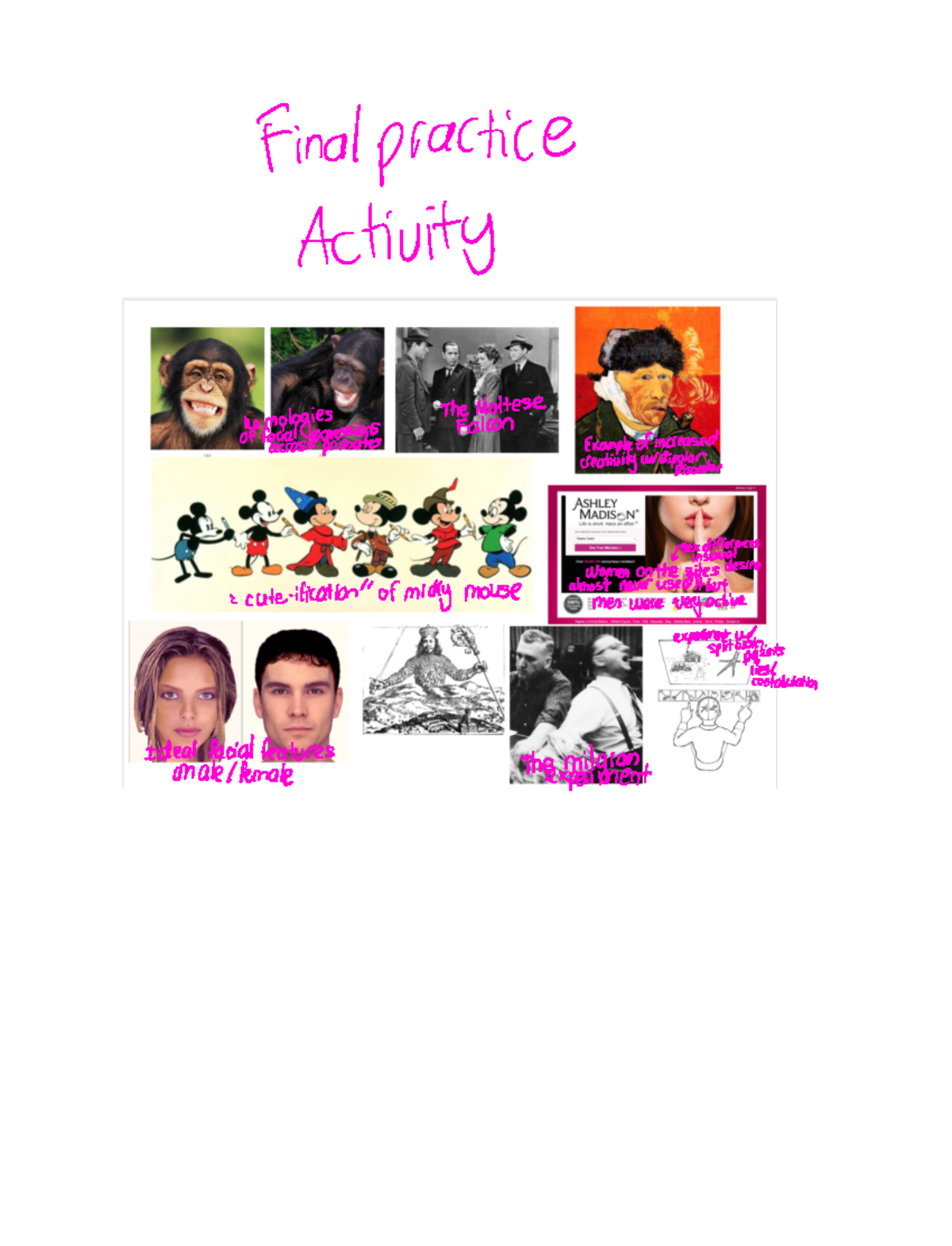 Picture Describe final activity - final practice Activity The daltese ...