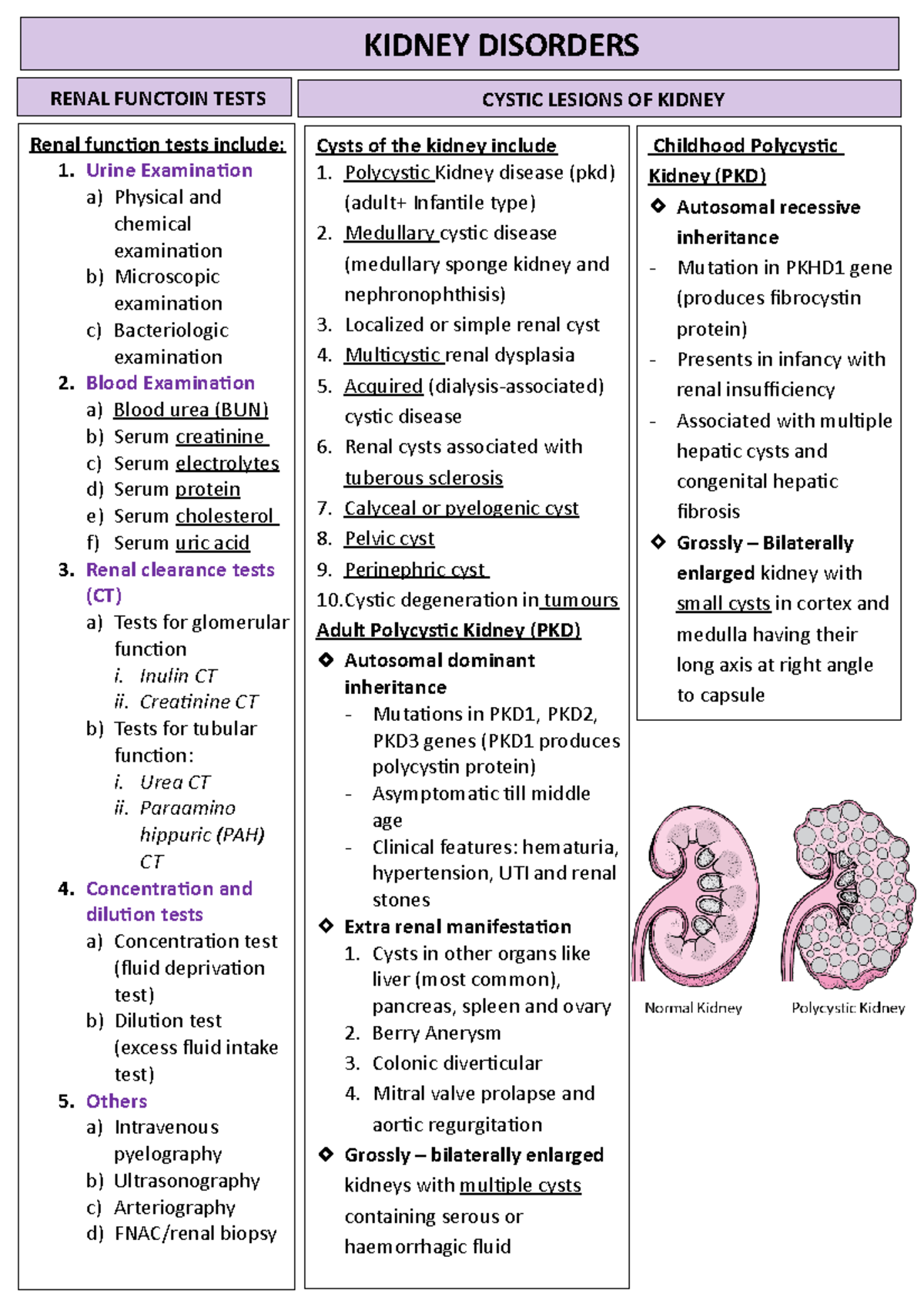 Kidney DX - arevision - RENAL FUNCTOIN TESTS KIDNEY DISORDERS CYSTIC ...
