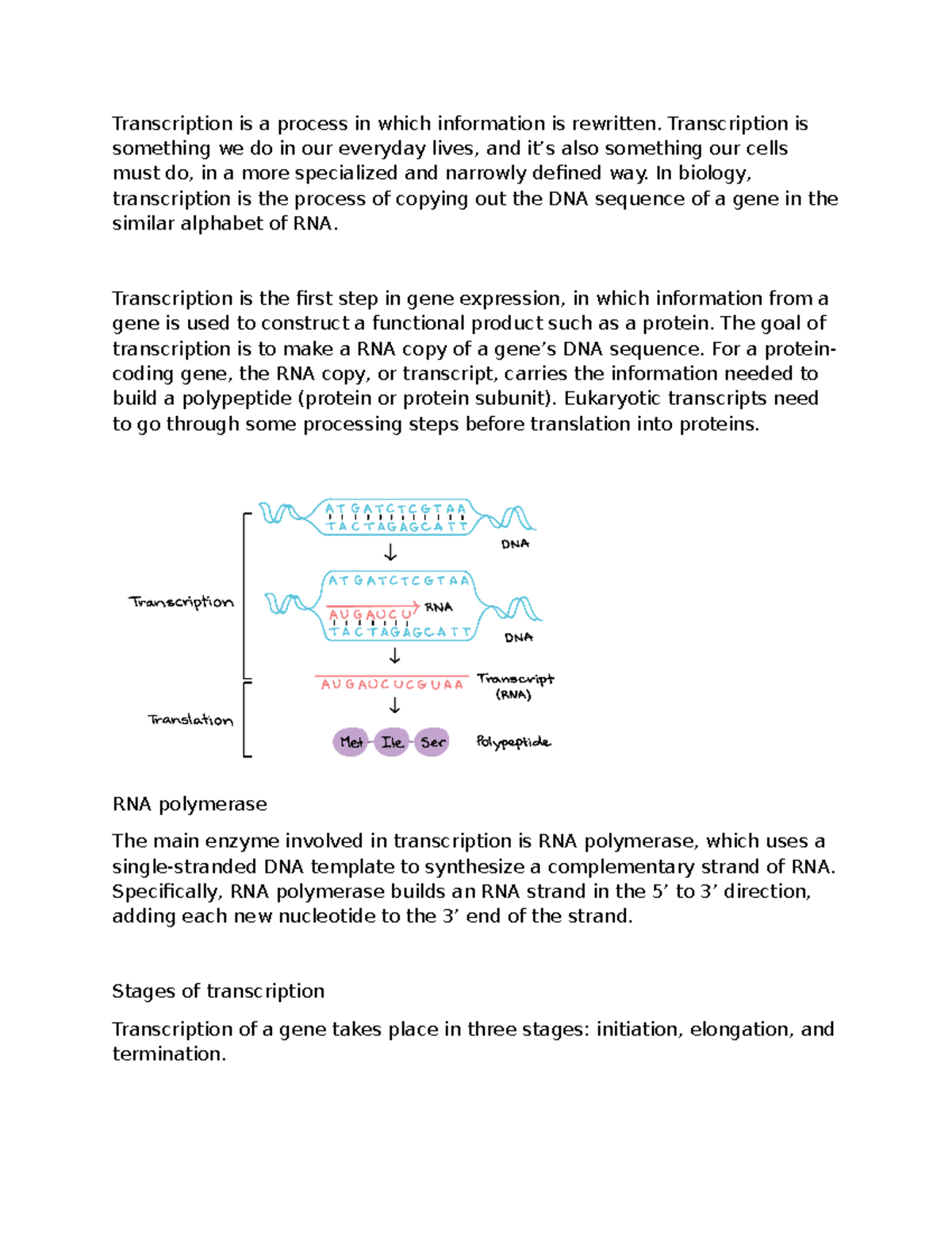 Transcription - Helpful - Transcription is a process in which ...