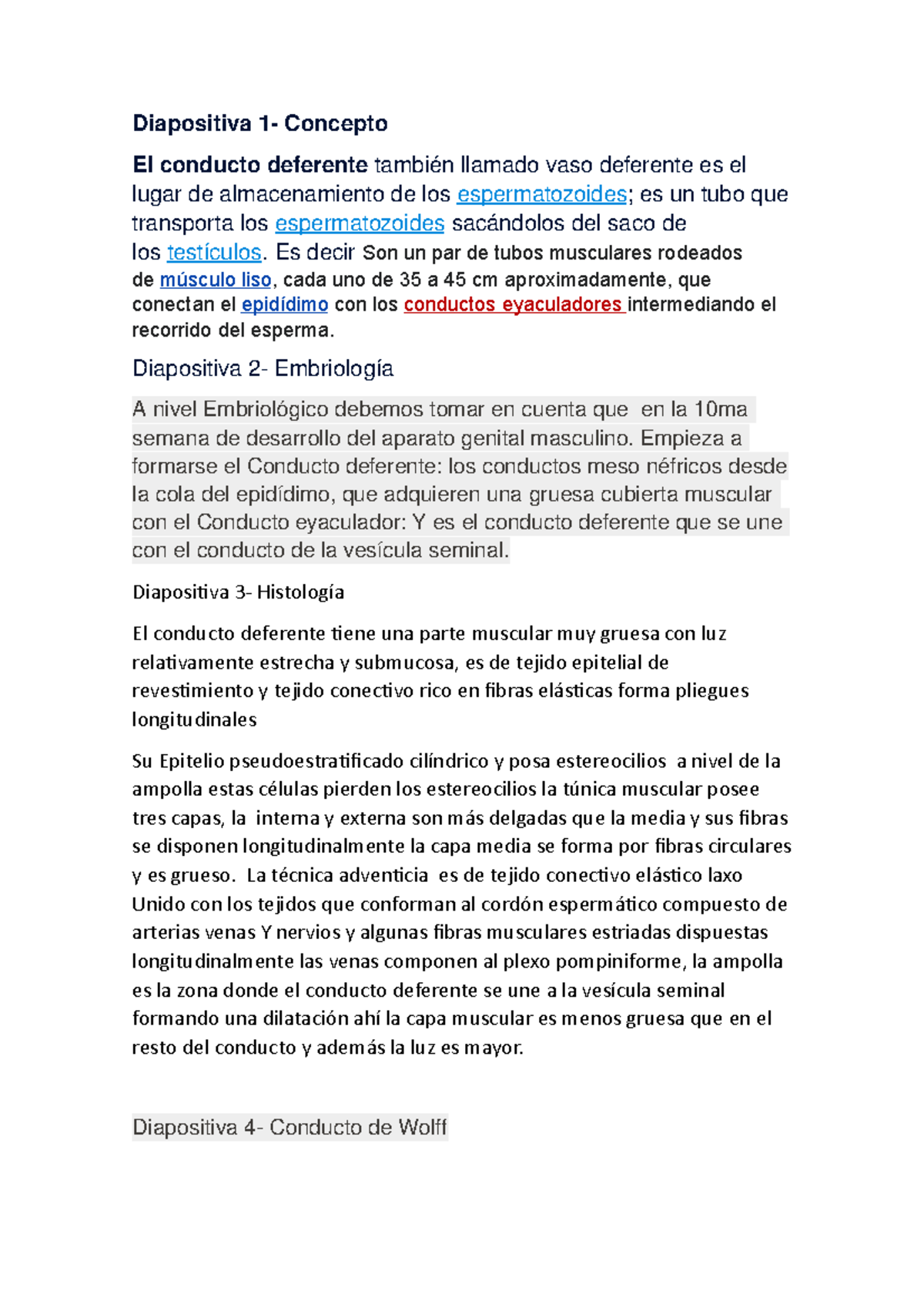 Conducto Deferente. documento - Diapositiva 1- Concepto El conducto ...