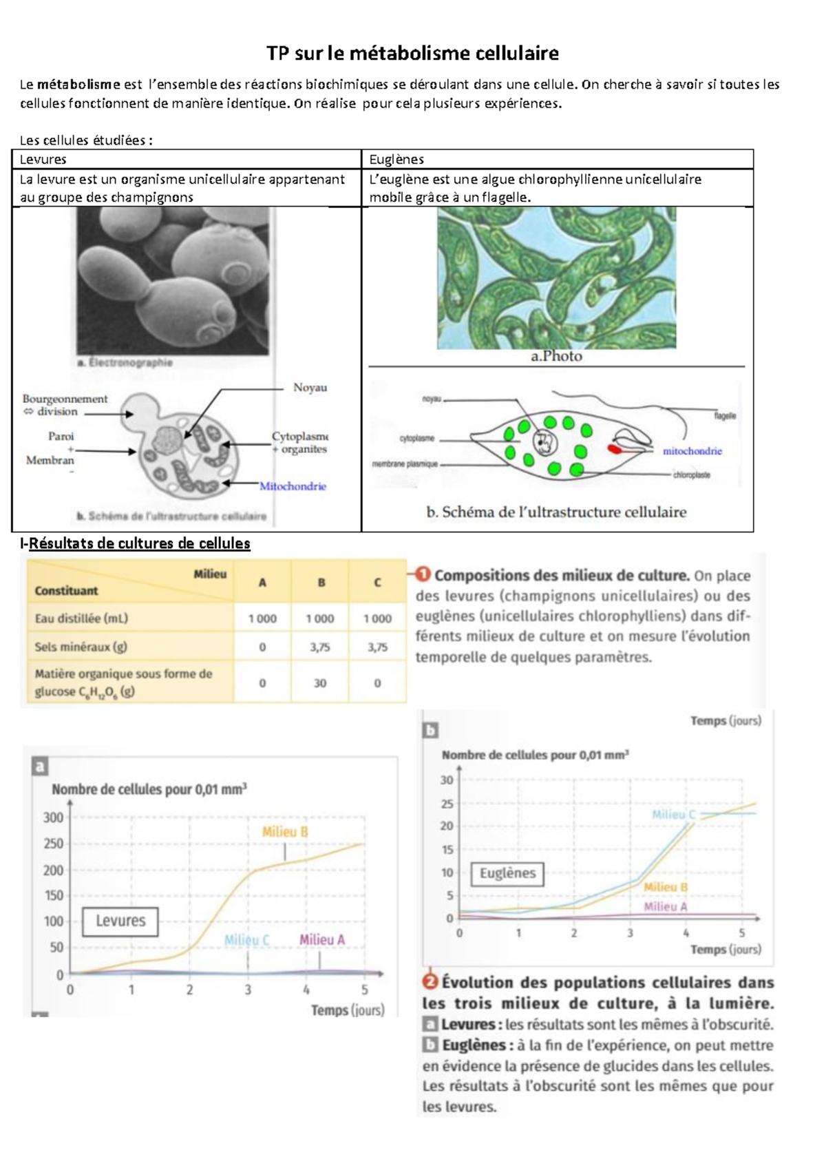TP Le métabolisme cellulaire - TP sur le métabolisme cellulaire Le métabolisme est l’ensemble ...