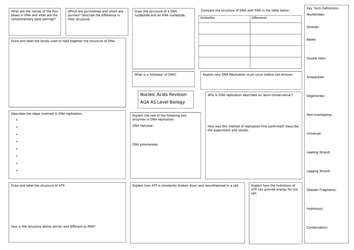 A3 revision sheet (1)g - Nucleic acids - r Nucleic Acids Revision AQA ...