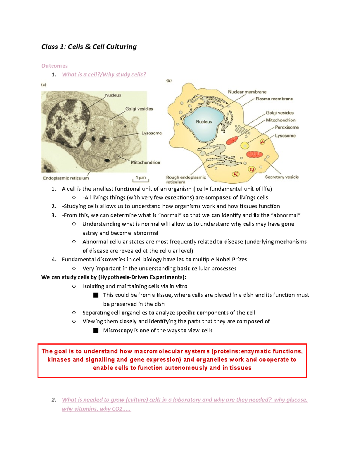 Cell Biology Lesson 1 Cells and Cell Culturing - Class 1: Cells & Cell ...