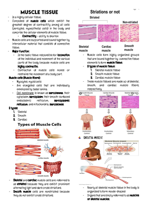 SSCT-Rating-Sheet - projective techniques - SACK’S SENTENCE COMPLETION ...