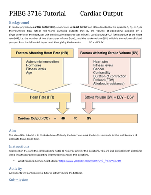 Structure and Function of Brainstem - Studocu
