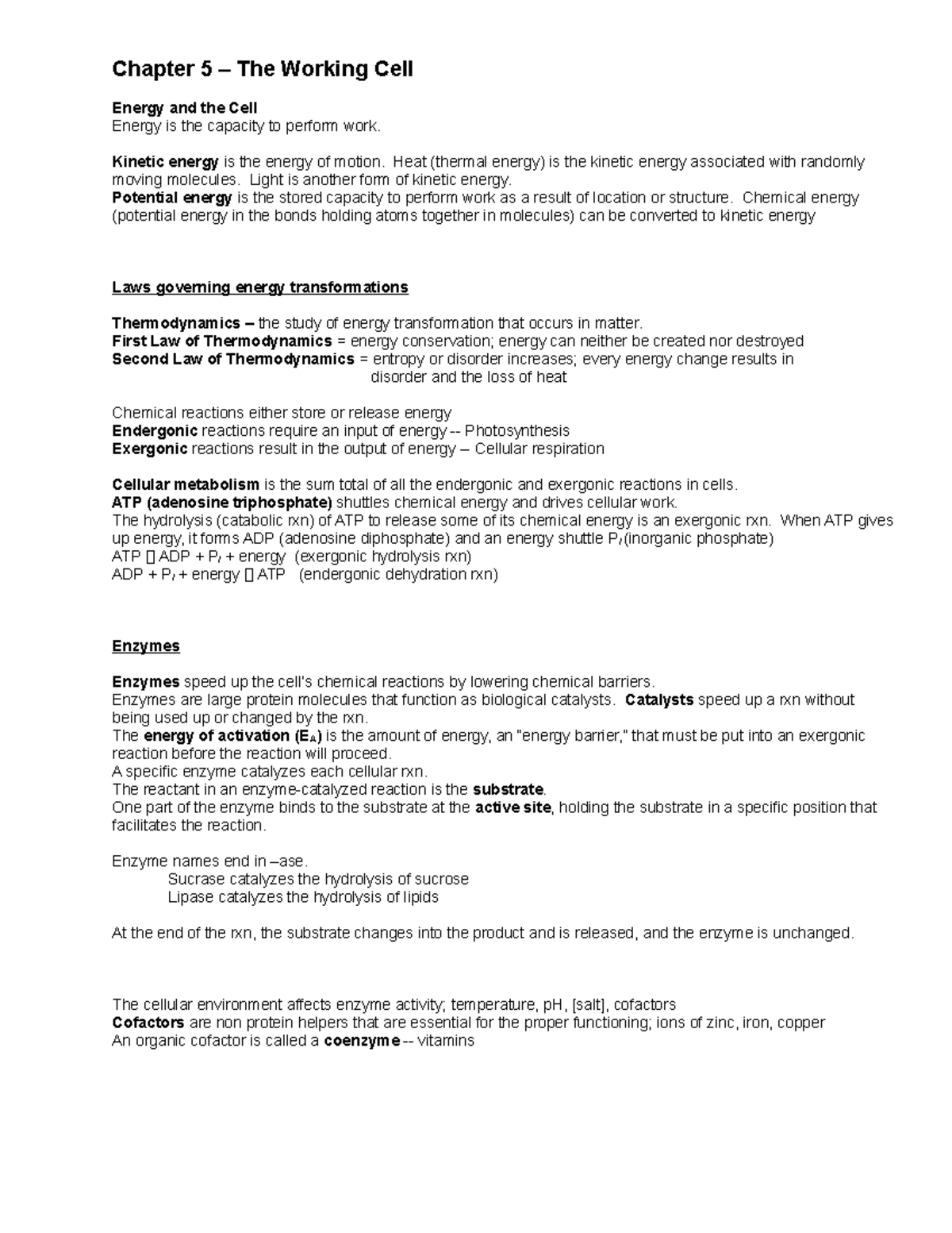 Chapter 5 - The Working Cell - Chapter 5 – The Working Cell Energy and the Cell Energy is the ...
