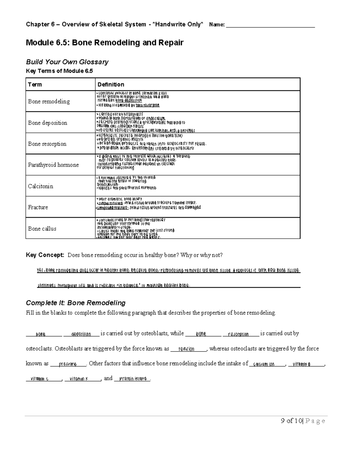 Chapter 6 lecture notes - Chapter 6 – Overview of Skeletal System ...
