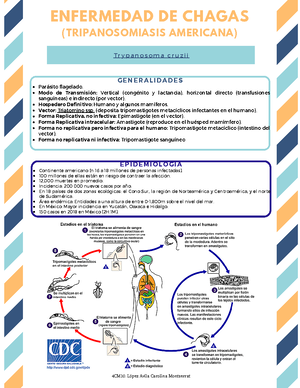 Amibiasis Intestinal - La amebiasis es una parasitosis producida por la ...