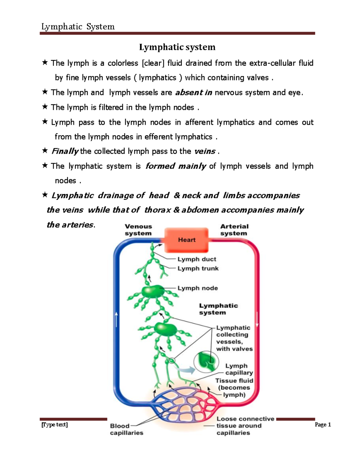 Anatomy Lymphatic drainage of the body 2020 - Lymphatic system The ...