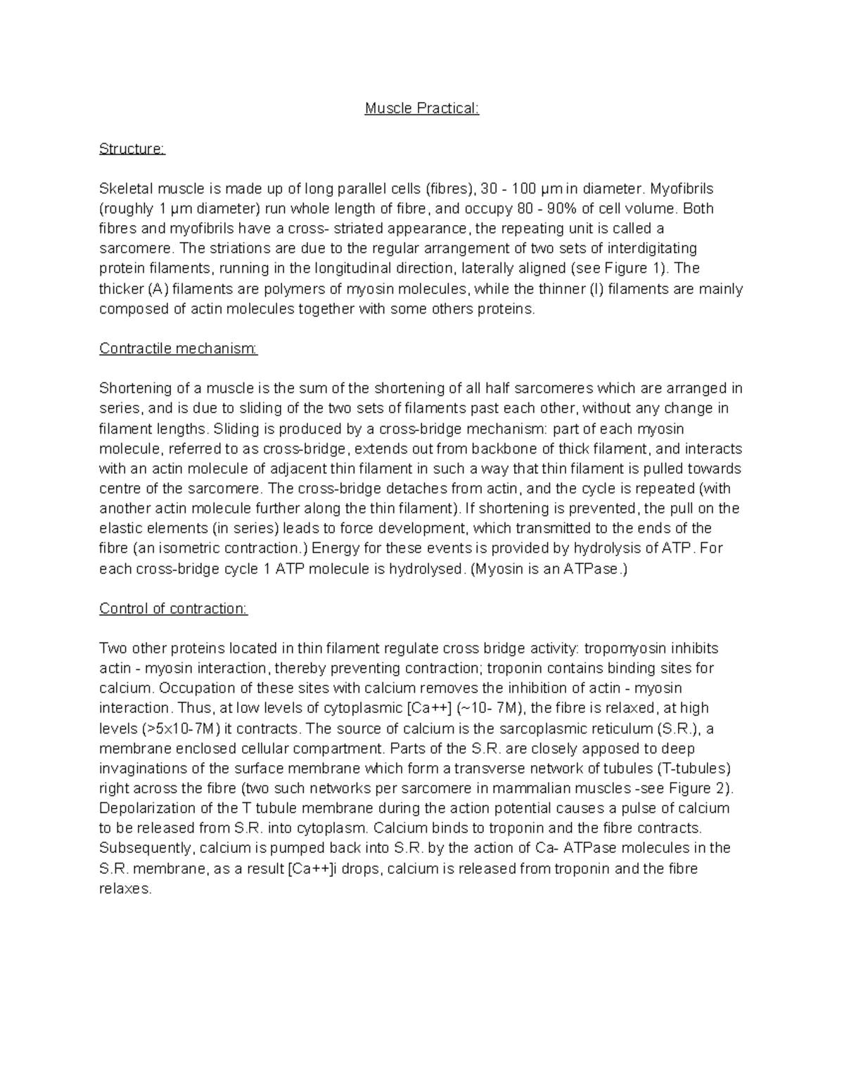 Muscle Practical Notes - Muscle Practical: Structure: Skeletal muscle ...